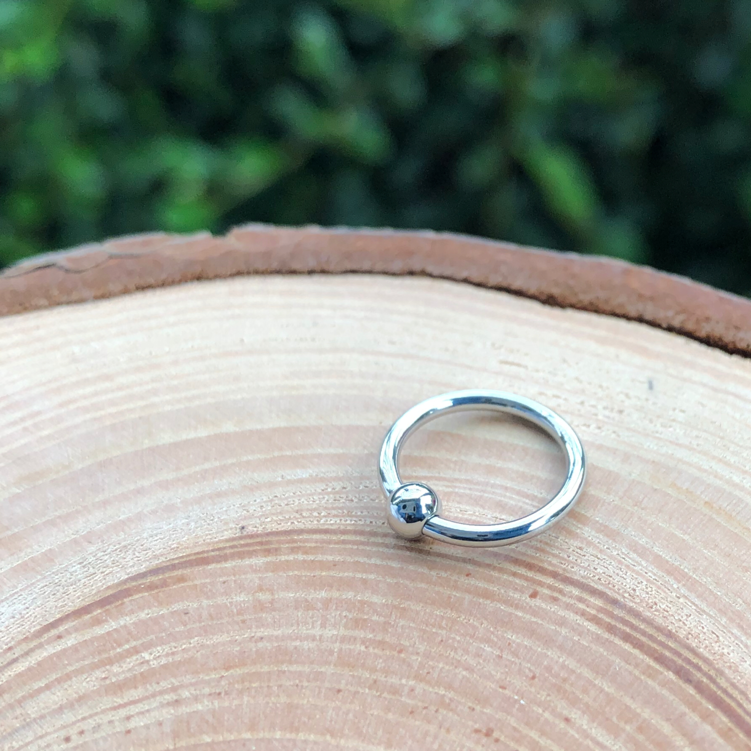 Stainless Steel Captive Bead Ring | Metro Body Piercing