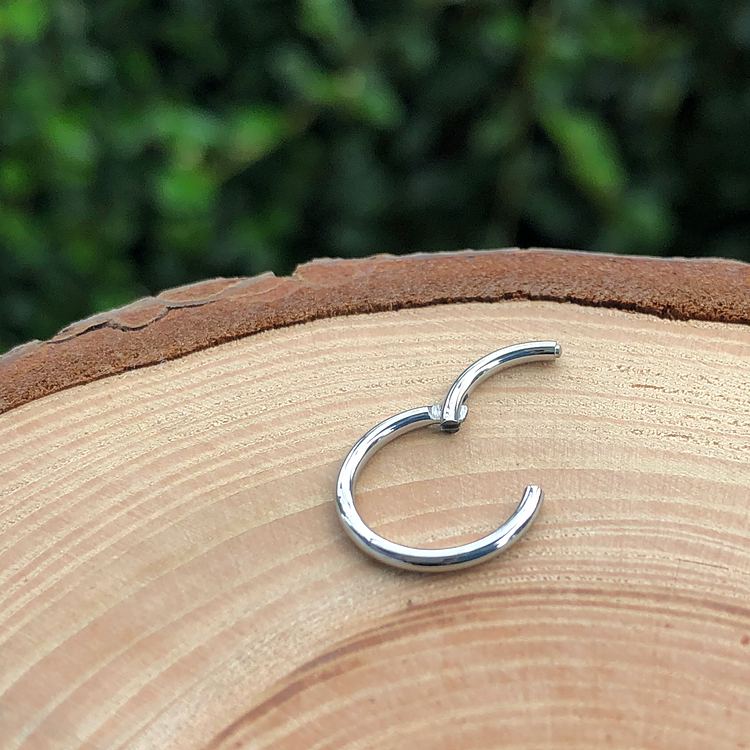 Titanium Hinged Ring | Metro Body Piercing